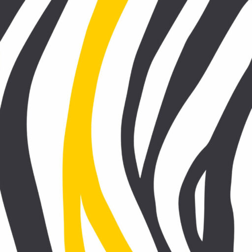 Design graphique – BGF Communication